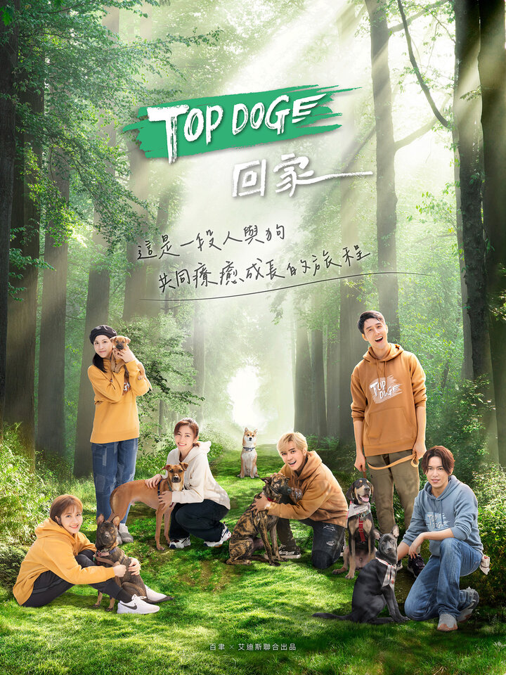 TOP DOG｜綜藝免費線上看｜KKTV