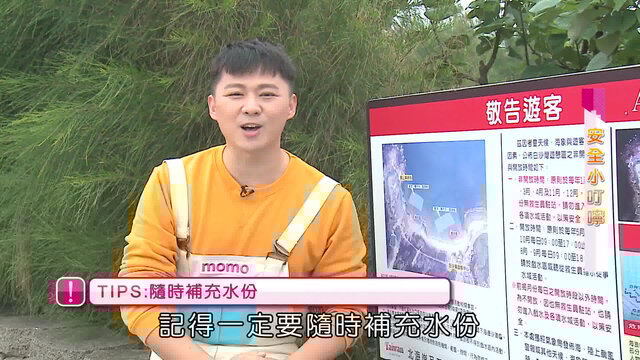 安全小寶貝 S1｜親子免費線上看｜KKTV